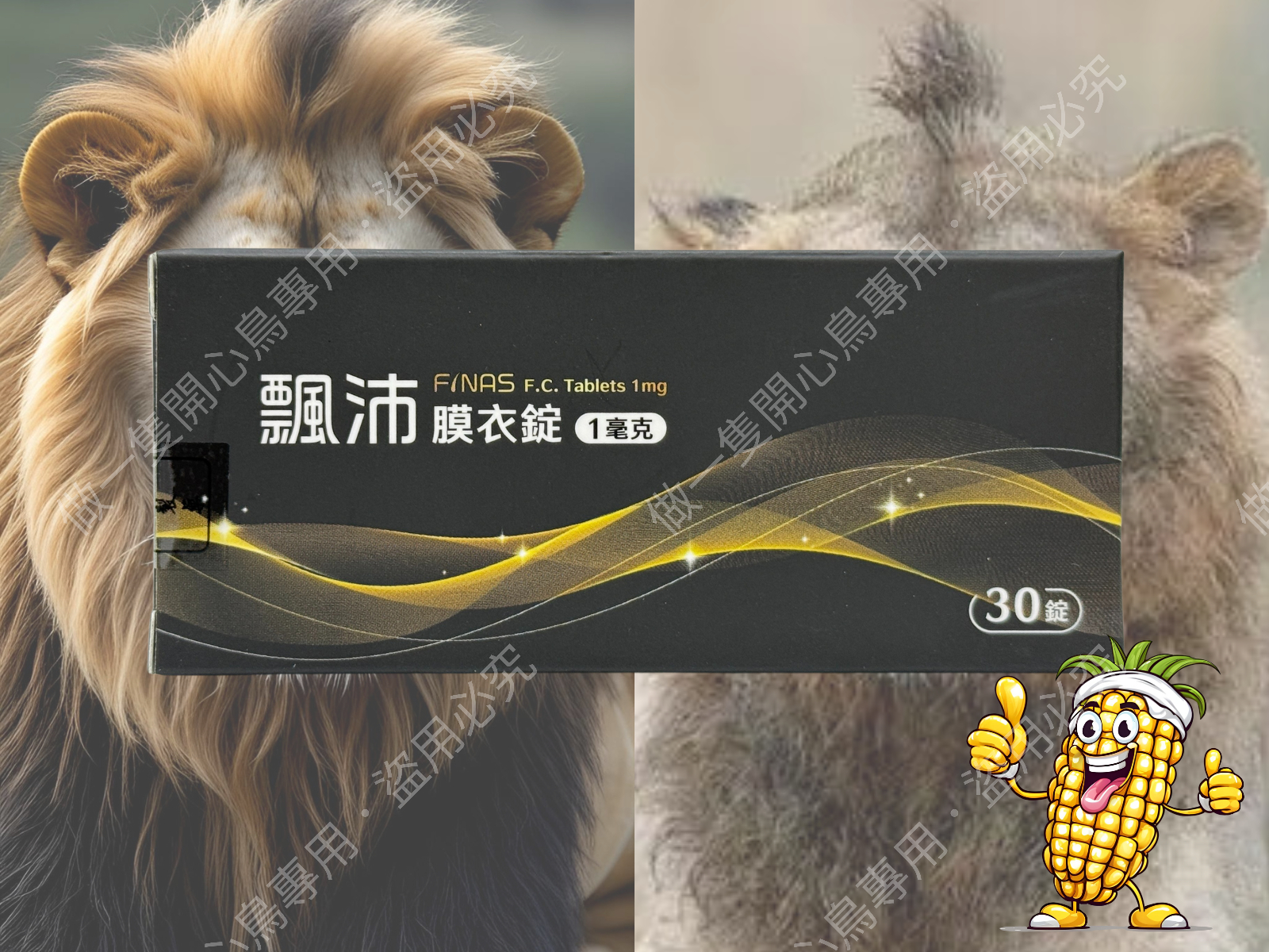 泰和碩 – 飄沛膜衣錠 Finas 1mg (30T/盒)【2027/09】 – happybird